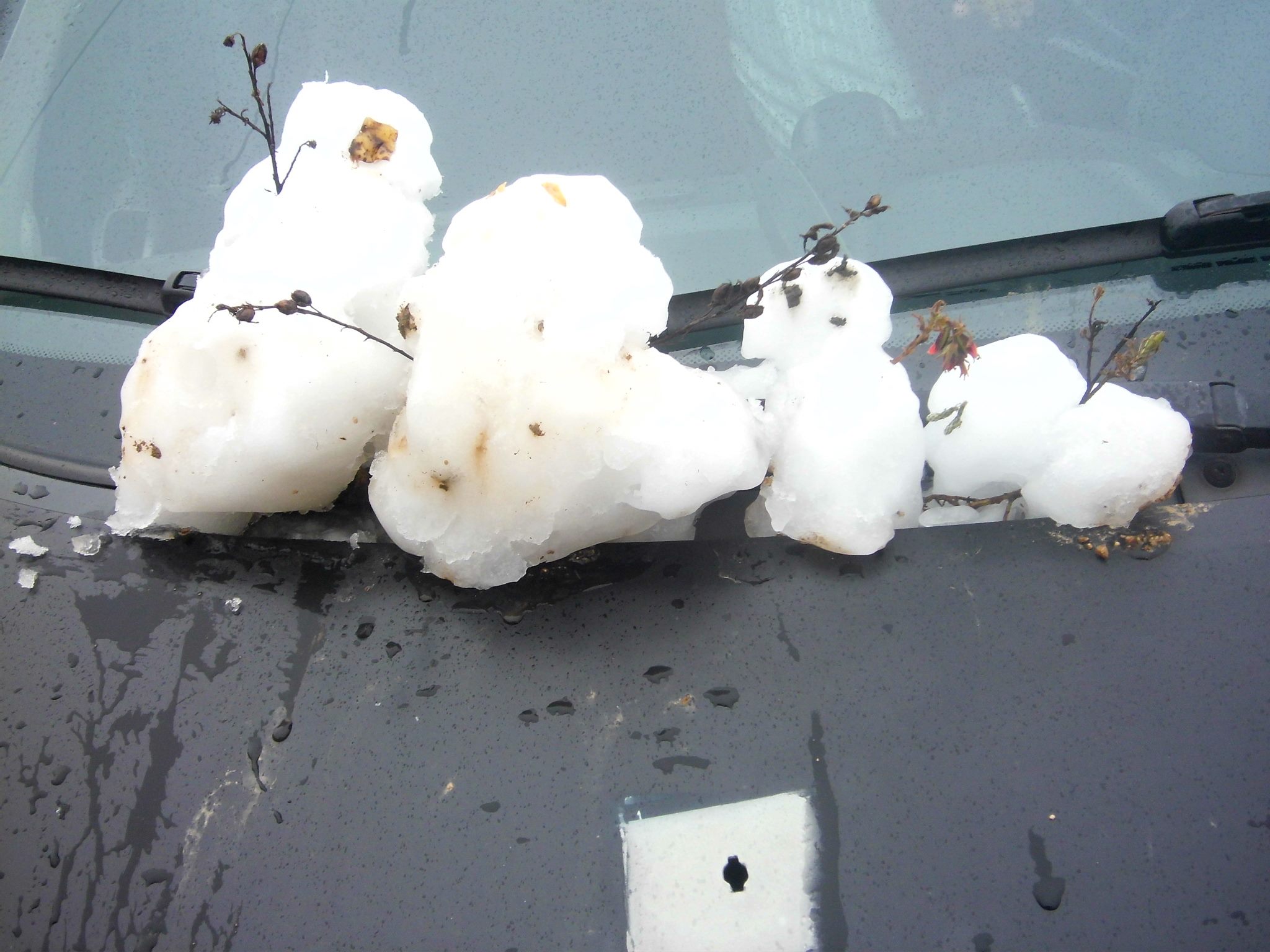 Temporada de nieve en Mérida Venezuela | Posada en Mérida
